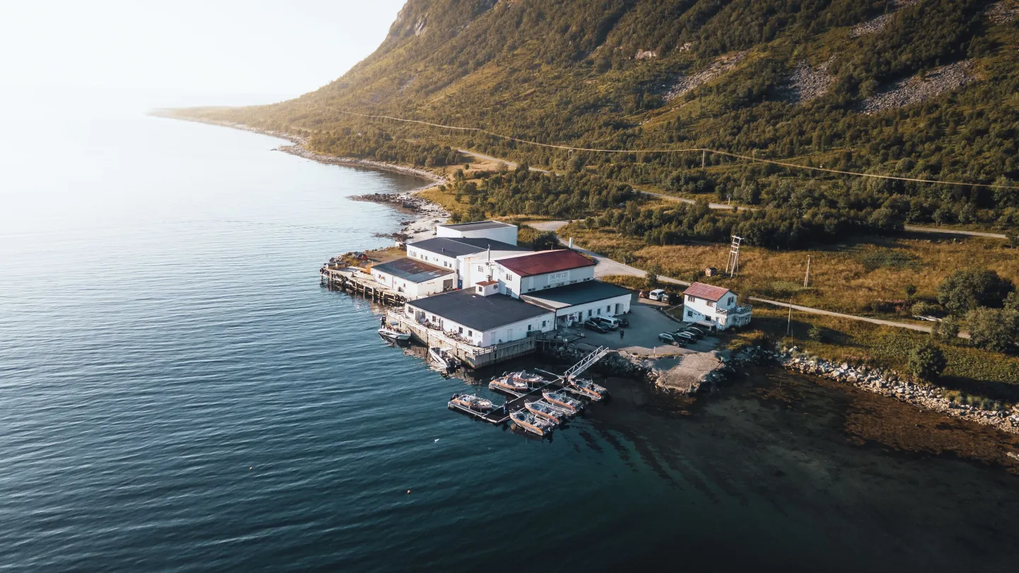 The Fat Cod | Visit Senja